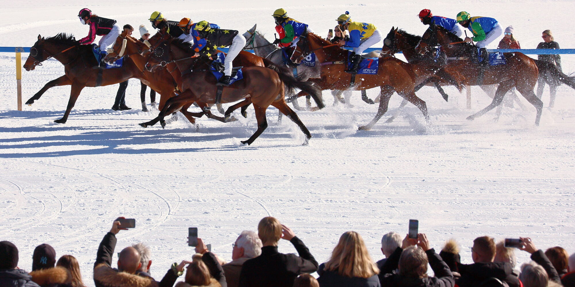 Die Gewinner beim White Turf - travelnews.ch