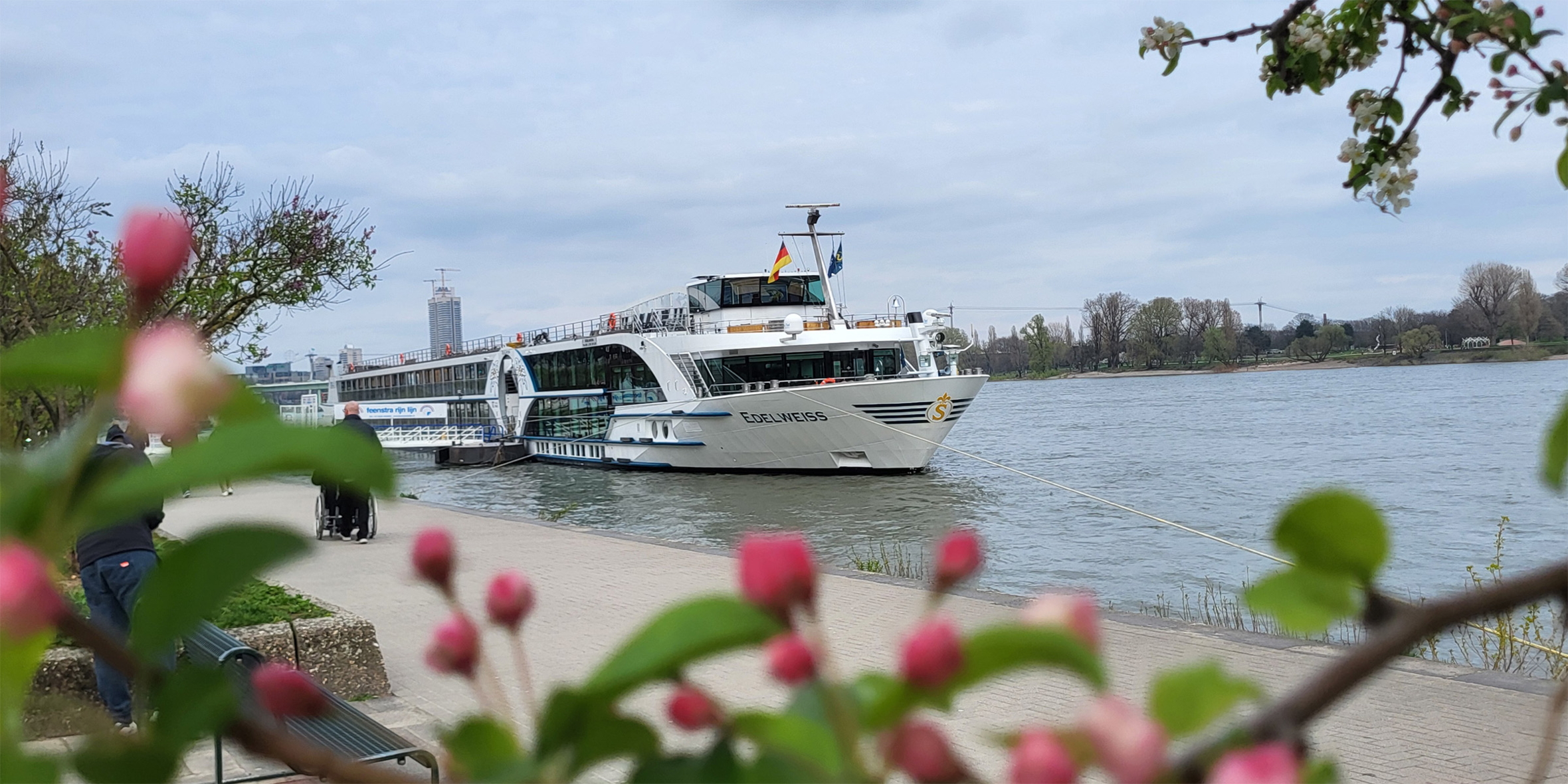 MS Edelweiss: Mit dem Flottenliebling unterwegs auf dem Rhein ...