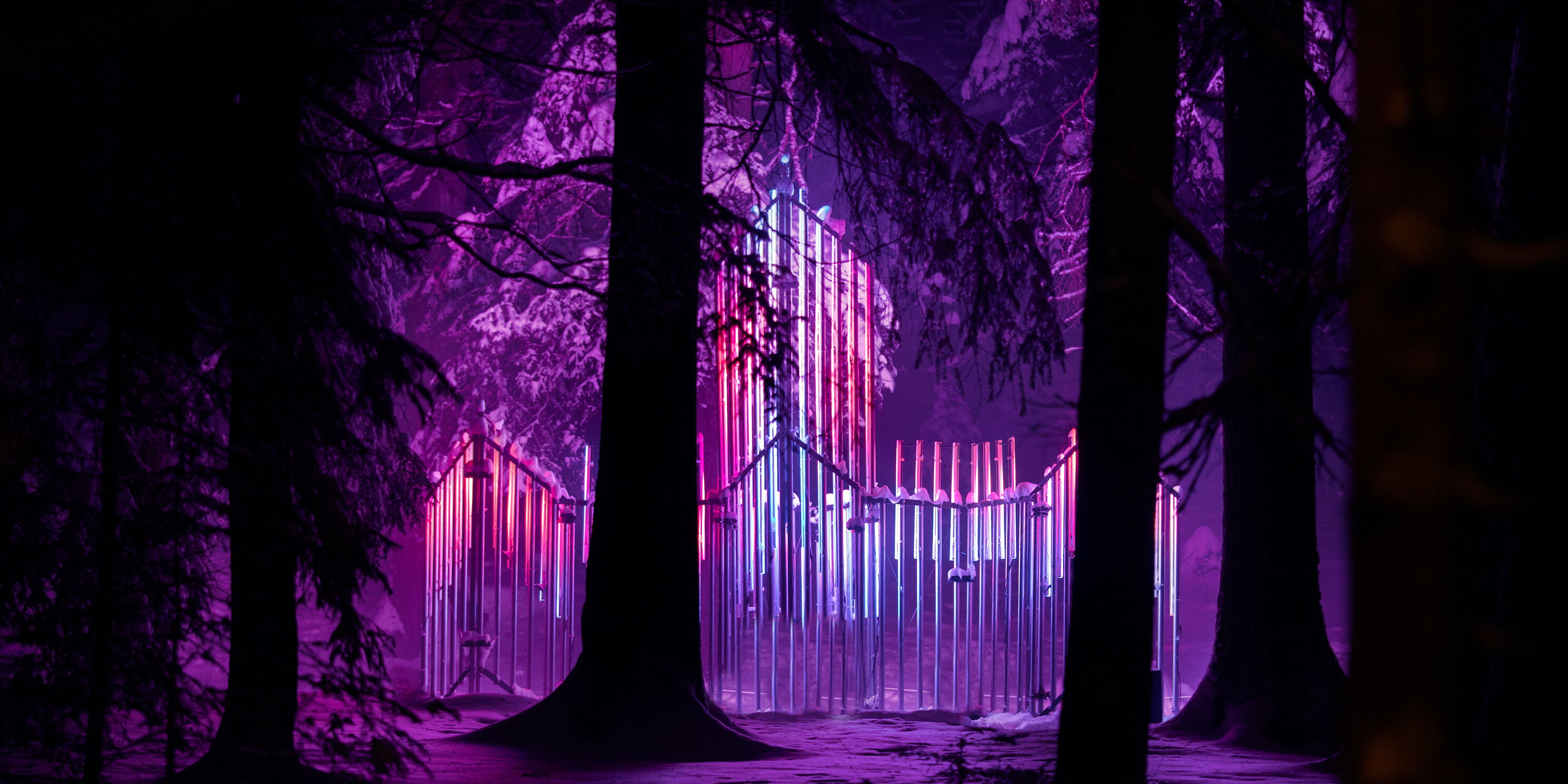 Der Zauberwald Lenzerheide geht ab - travelnews.ch