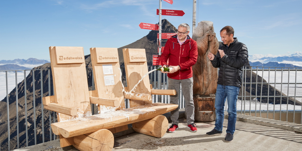 Edelweiss im ewigen Eis des Glacier 3000 - travelnews.ch