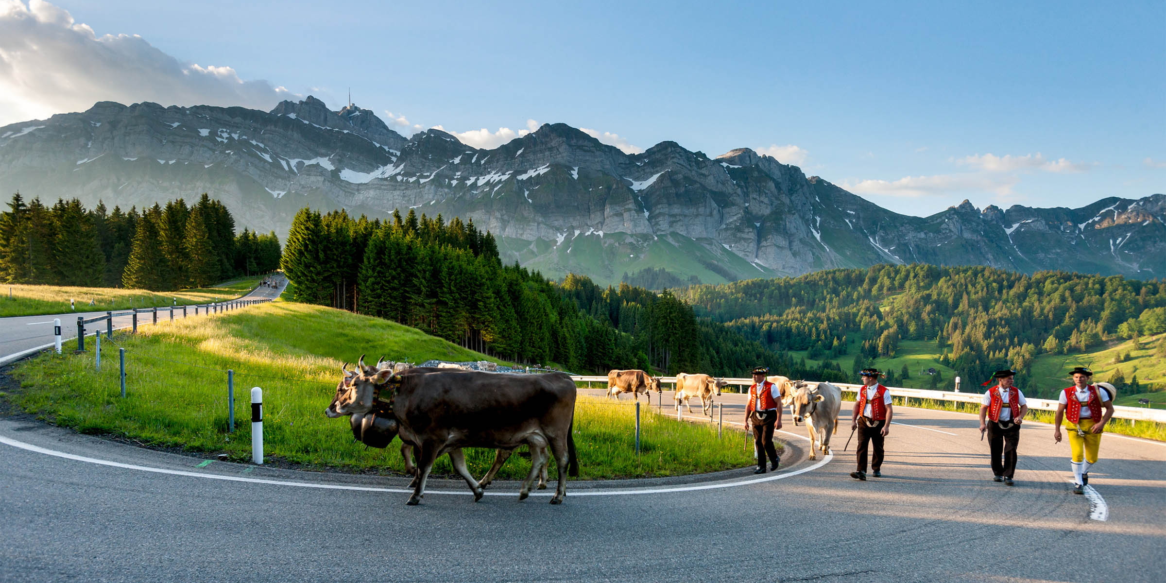 Von der Schwägalp auf den Säntis - Sommerausflüge - travelnews.ch