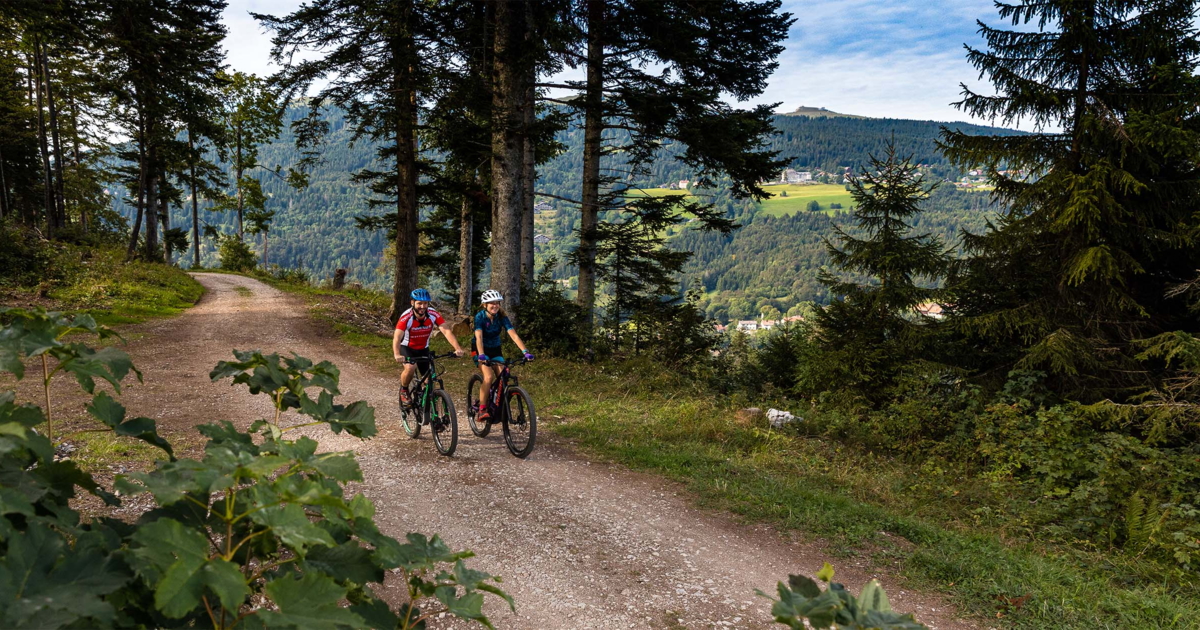Mit dem Bike durch Wälder und Wiesen - travelnews.ch