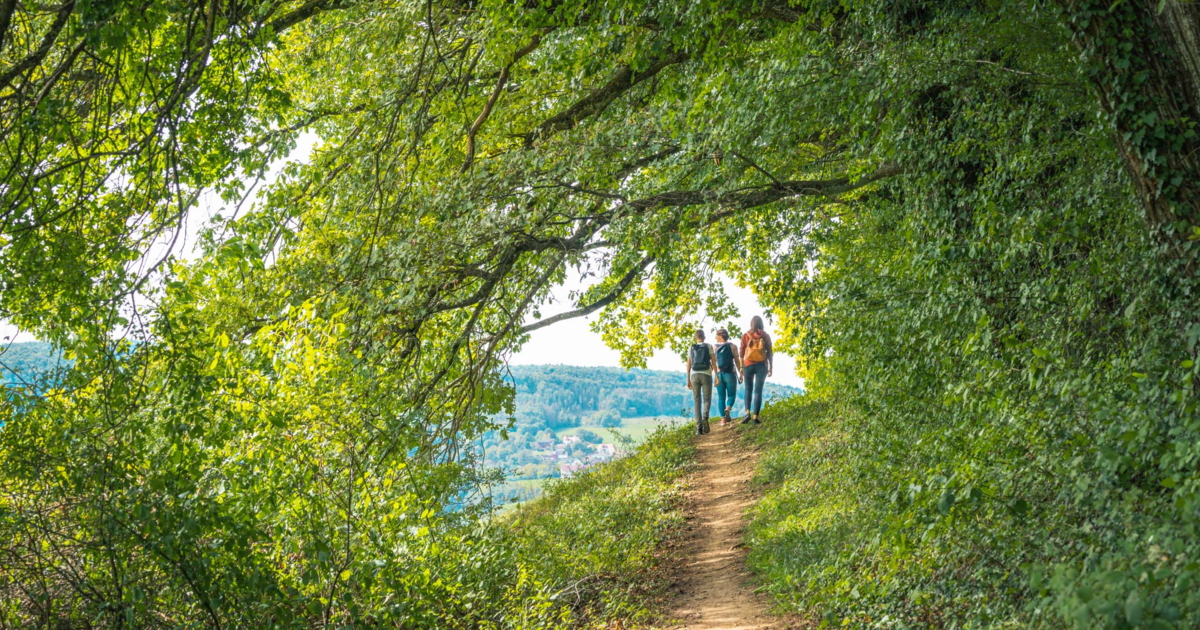 Waldstille und Sommerduft auf dem Randen - Sommerausflüge - travelnews.ch
