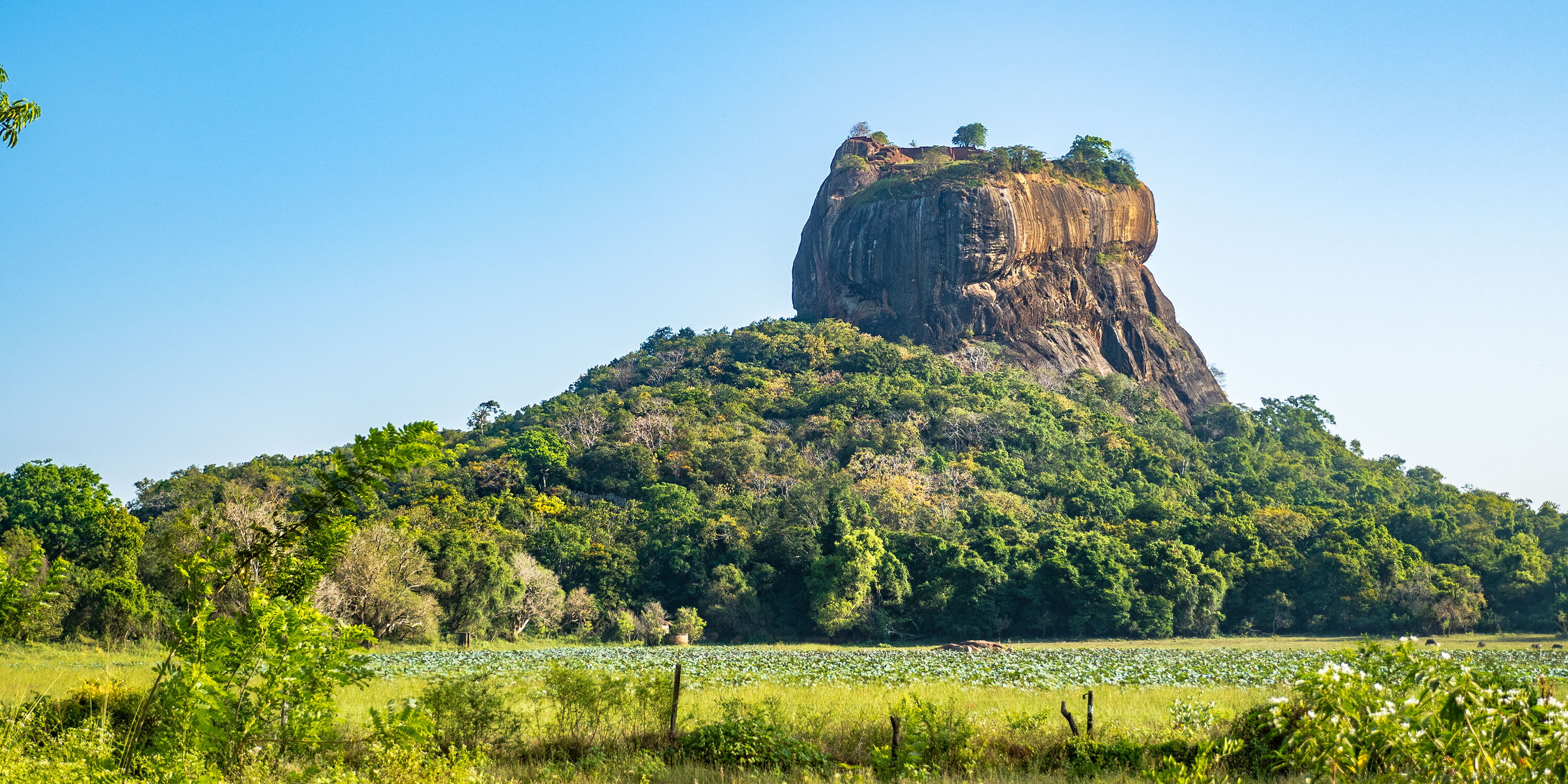 Sri Lanka – ein Land mit vielen Gesichtern - travelnews.ch