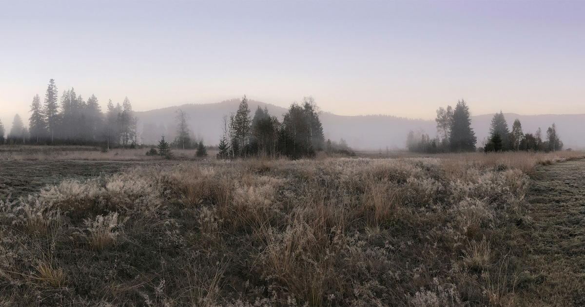 Mystical moor hikes in Switzerland - travelnews.ch